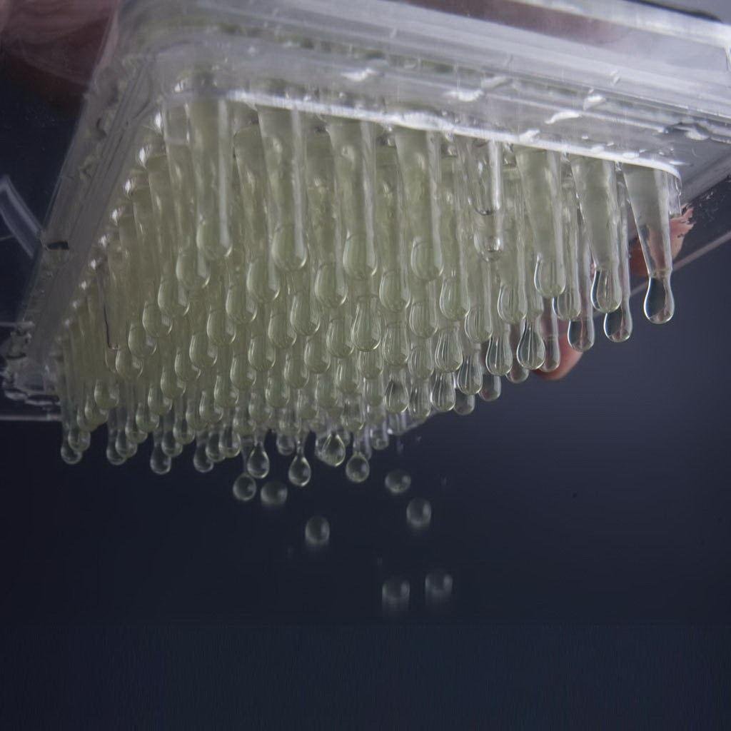 100% Chef Caviar Box - Chenab Gourmet