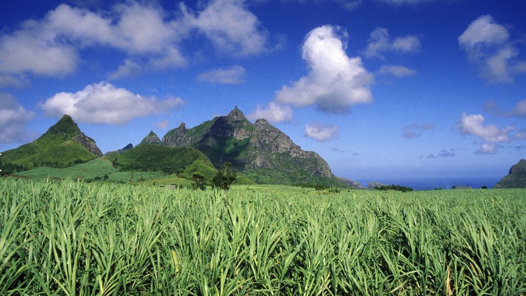 The Sweet Secrets of Mauritian Sugar & Its Impact on the Island